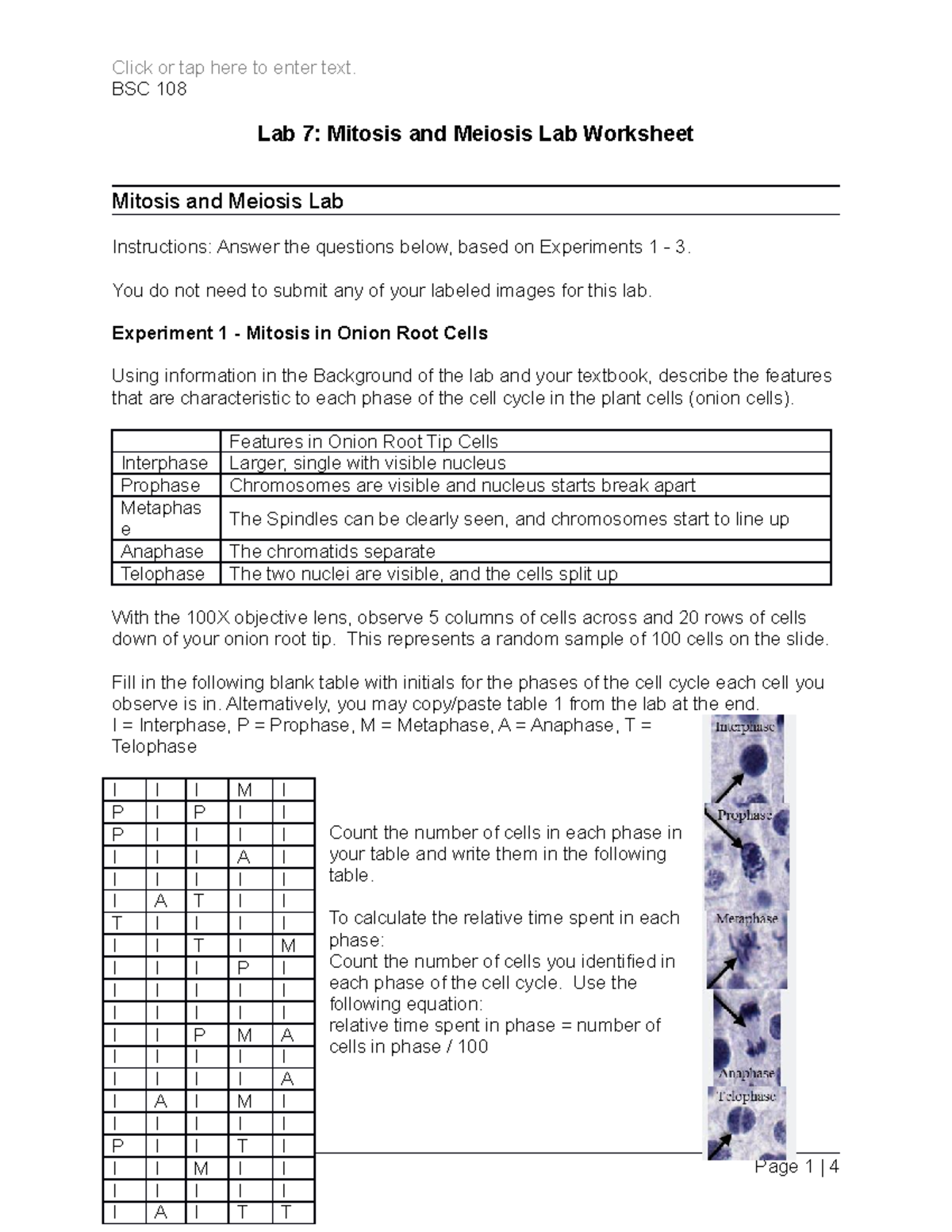 Lab-7-Mitosis-Meiosis-Lab-Worksheet 2023 - BSC 108 Lab 7: Mitosis and ...