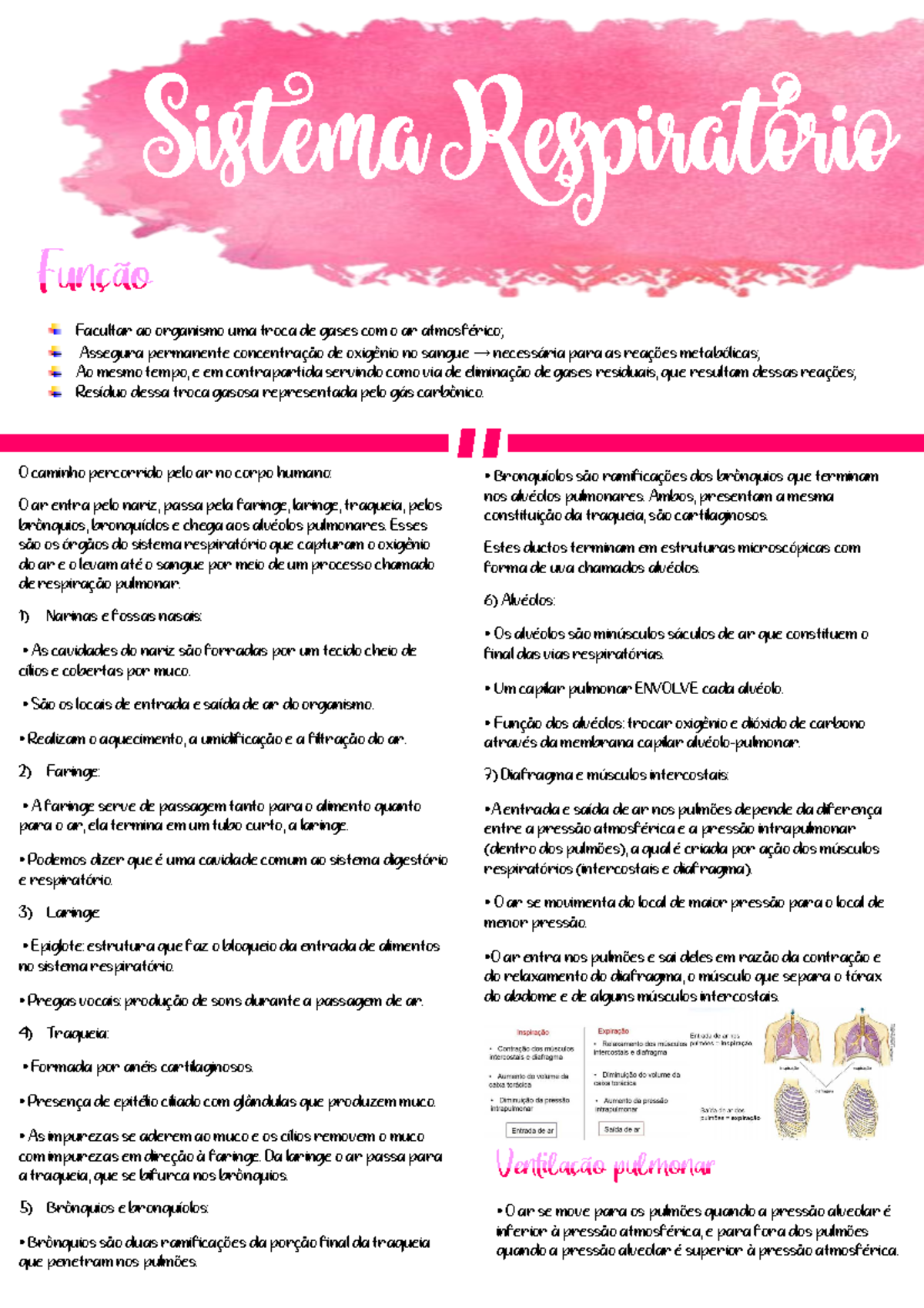 Sistema Respiratório - Warning: TT: undefined function: 32 Warning: TT: undefined function: 32 ...
