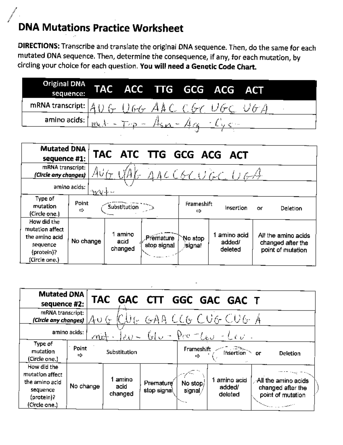 Mutation review sheet - Jeez - PS410 - Studocu