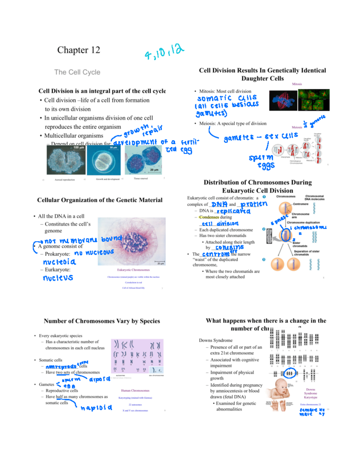 EXAM Three - exam 3 - Chapter 12 4,10,12 The Cell Cycle Cell Division ...