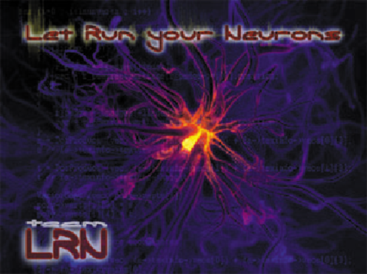 - Algebra Sucsess In. 20 Minutes a Day-Learning Express - ALGEBRA ...