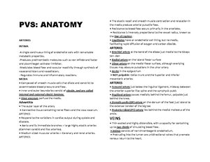 Practice-court-script - MOCK TRIAL SCRIPT CRIMINAL CASE NO. 24689 ...