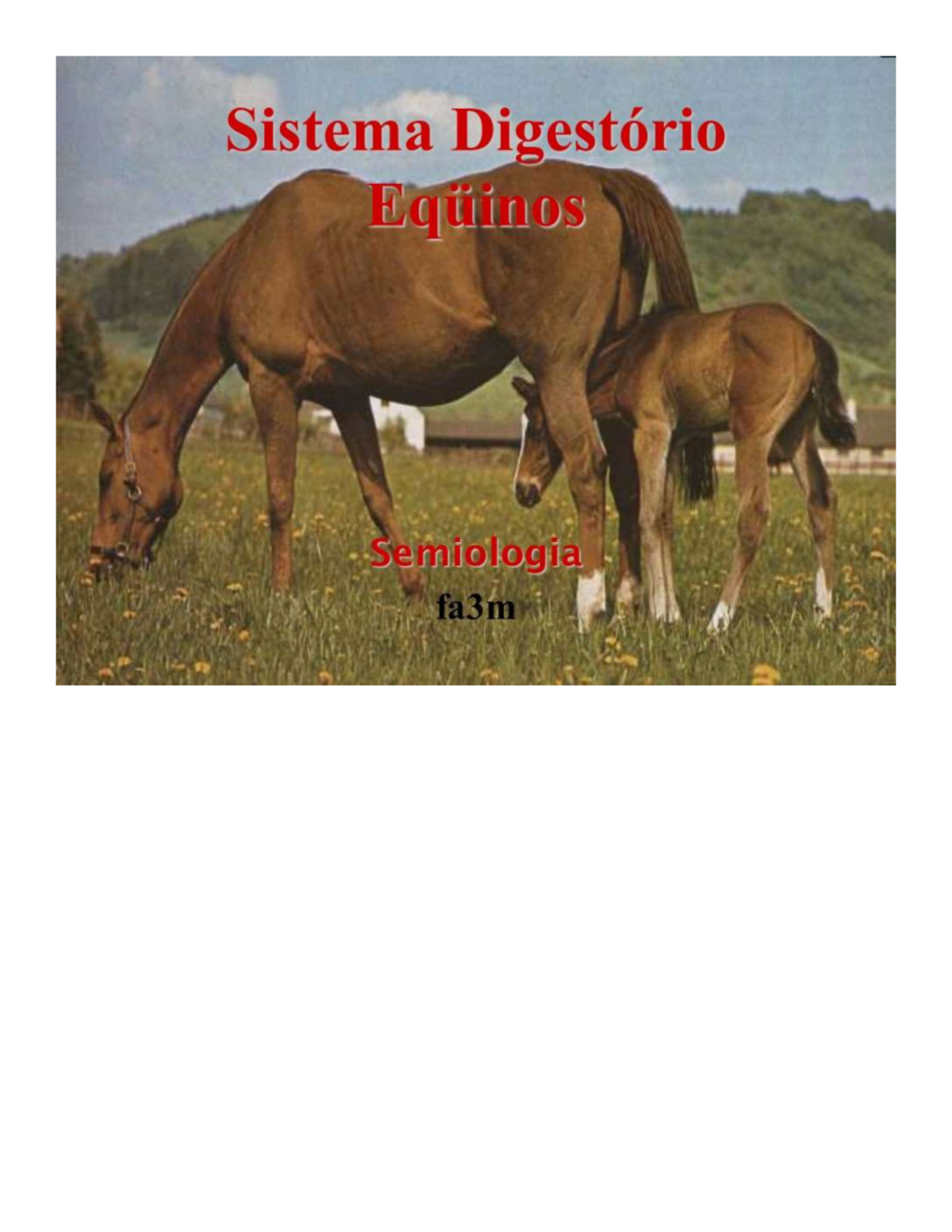 3 Sistema Digestório Equinos - Semiologia E Laboratório Clínico ...