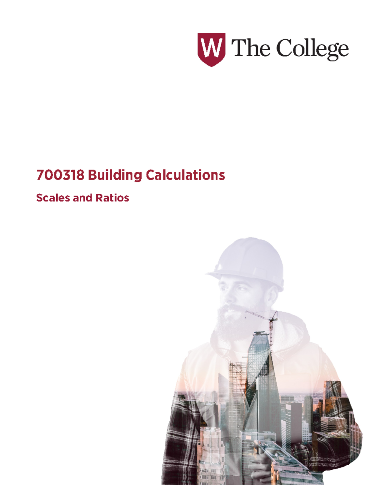 Module 1 - Scales and Ratios Worksheet v1.0 - 700318 Building ...