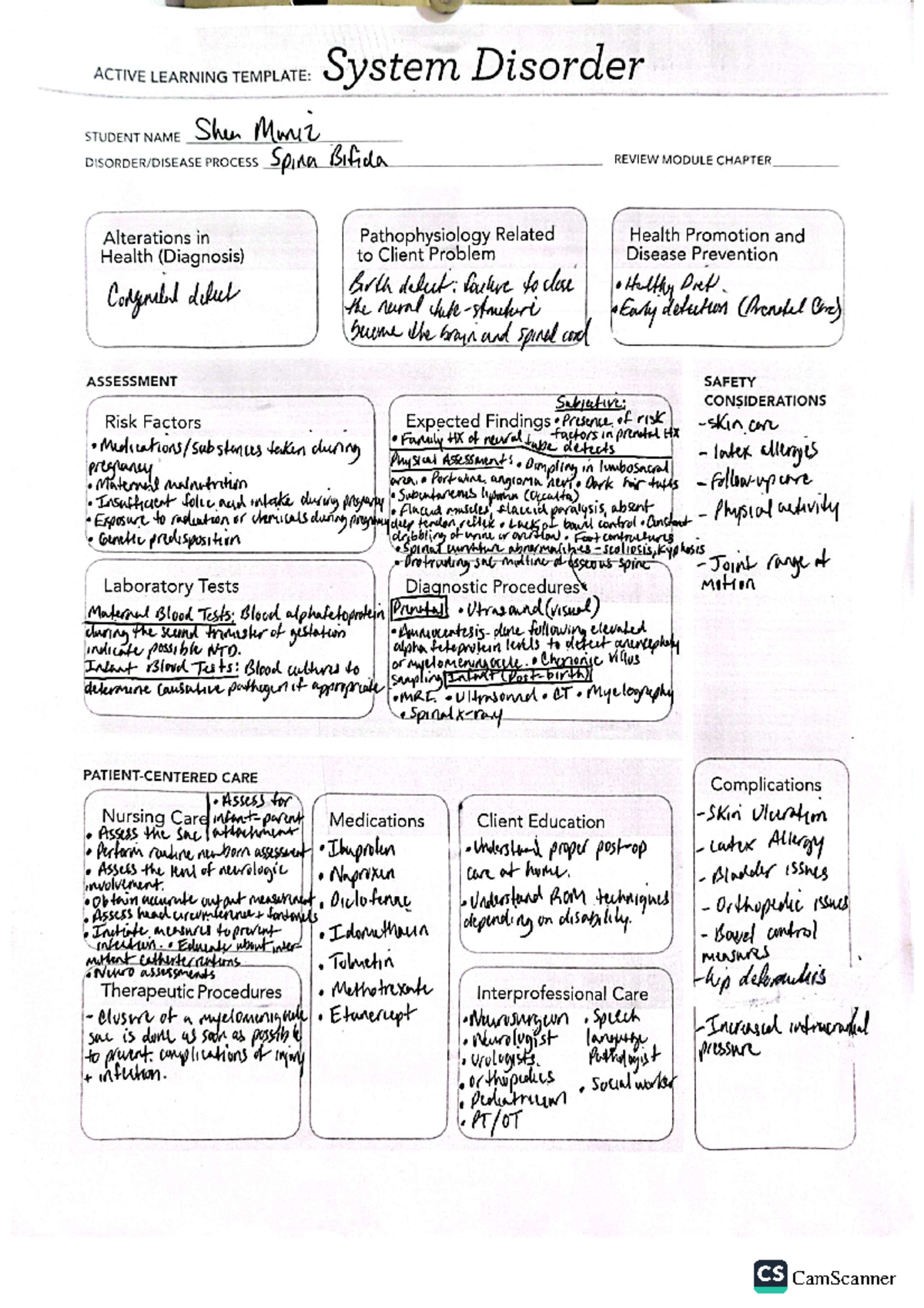 Cam Scanner 11-15-2024 16 45 - ACTIVE LEARNING TEMPLATE: System ...
