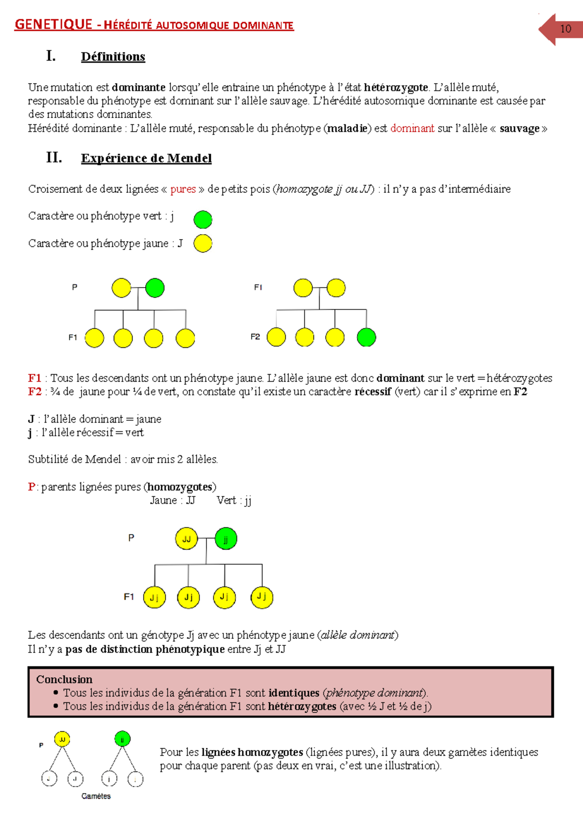 5. Hérédité autosomique dominante - GENETIQUE - H ÉRÉDITÉ AUTOSOMIQUE ...