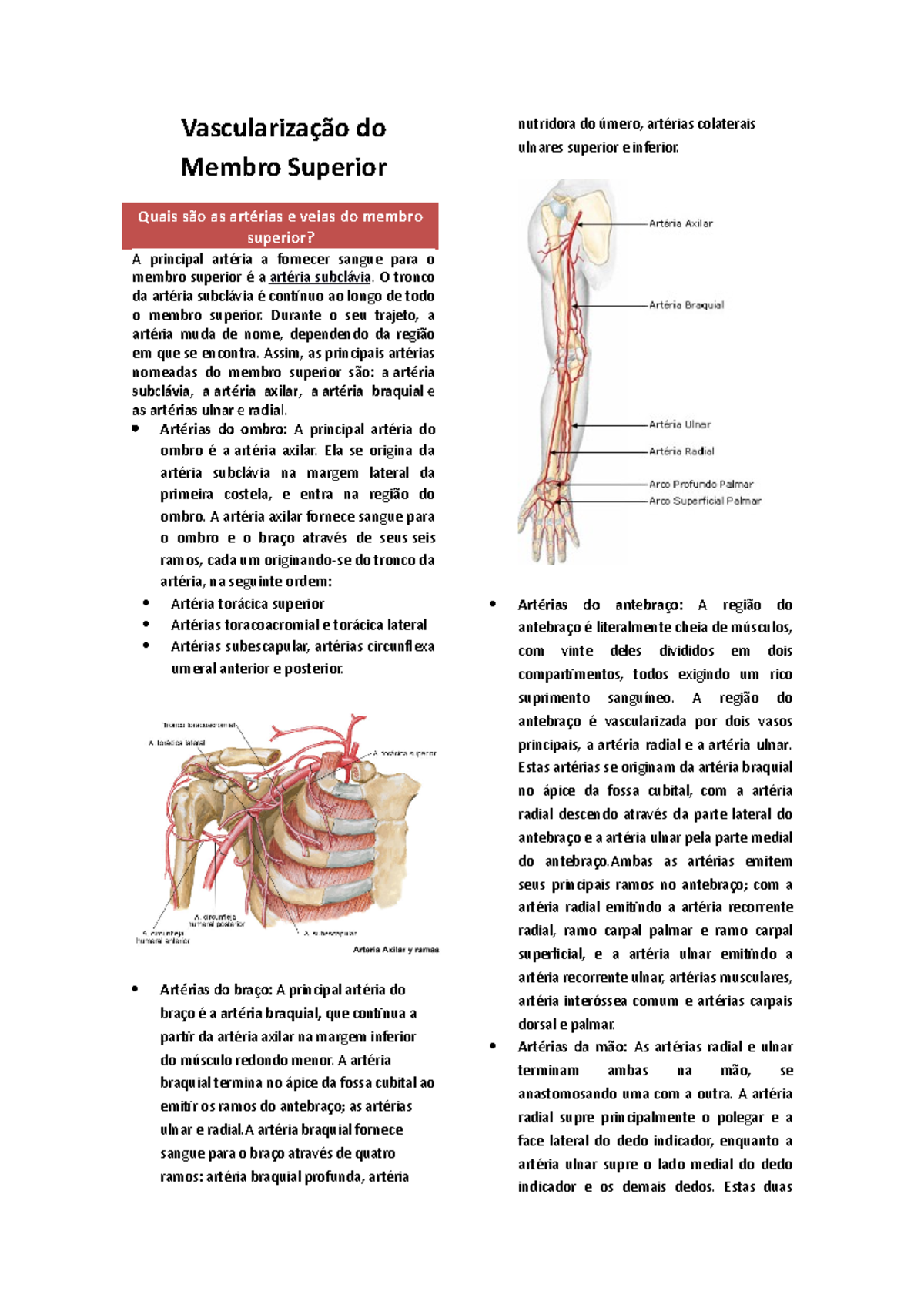 11 - Vascularização do Membro Superior - Vascularização do Membro ...