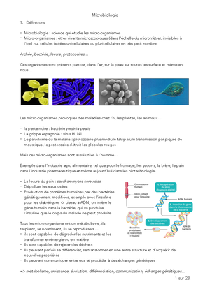 Rapport de microbiologie - Tests VF et milieu de HL - LAUER Eurielle ...
