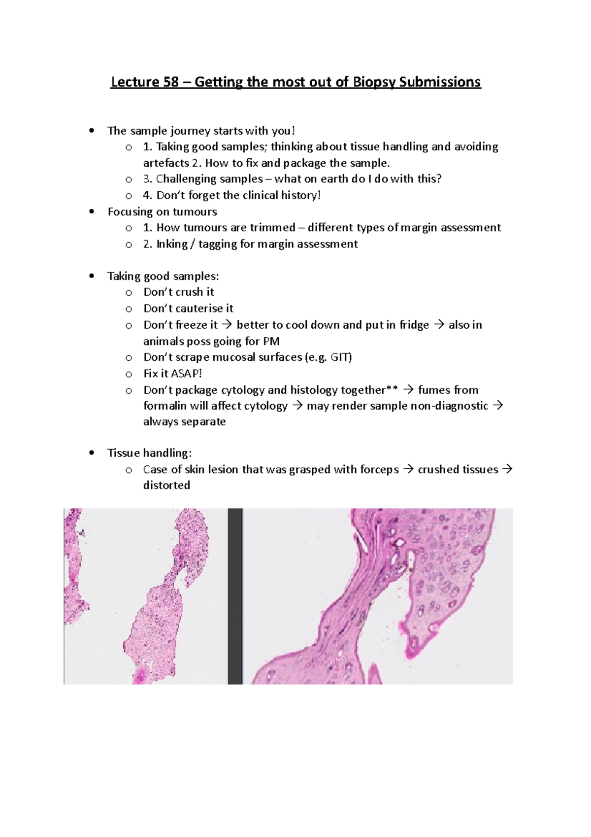 Lecture 58 – Getting the most out of Biopsy Submissions - Lecture 58 – Getting the most out of ...