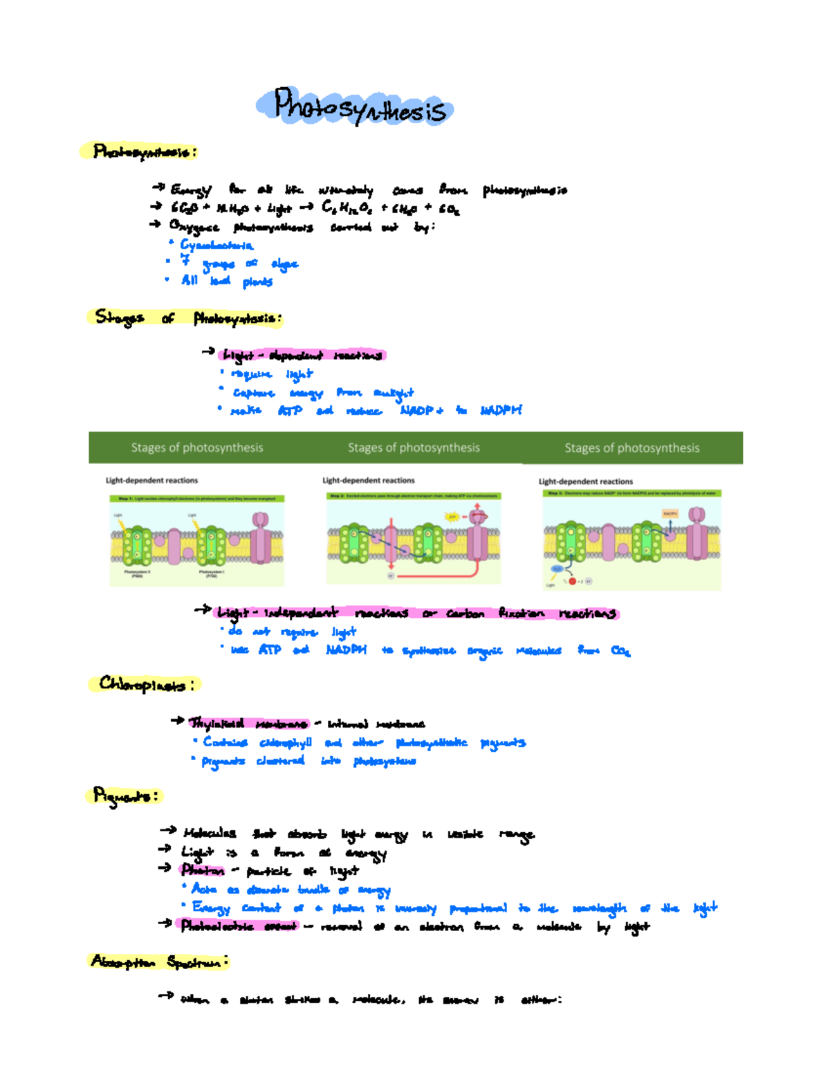 Biology 198 Chapter 8 Notes - BIO 198 - Studocu