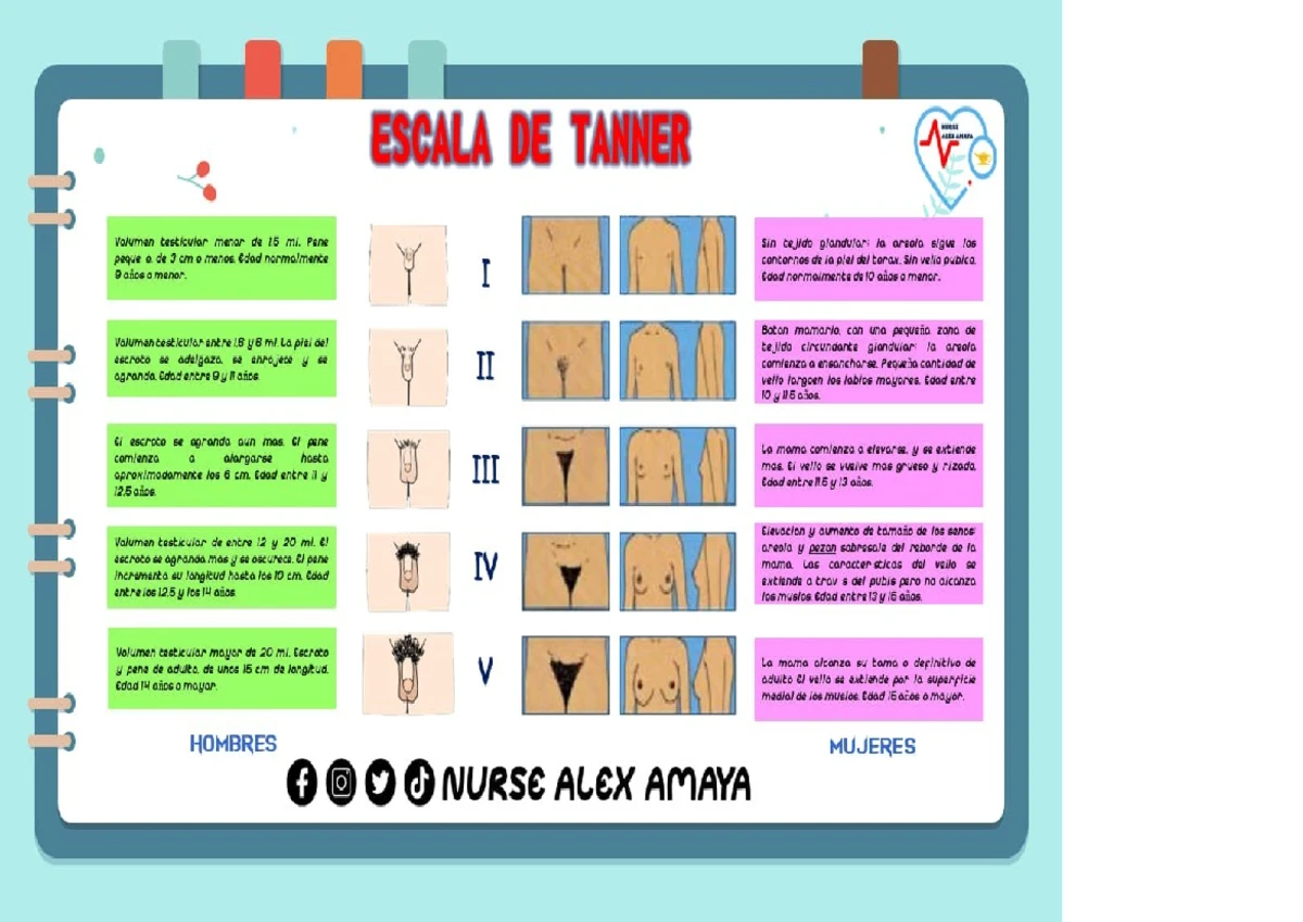 Ficha de observacion educativa - UNIVERSIDAD TÉCNICA DE MANABÍ FACULTAD DE CIENCIAS HUMANÍSTICAS ...