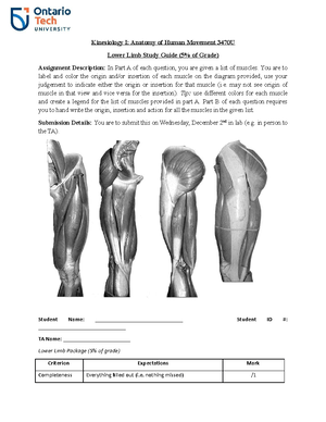 Psk4u 08 joints question sheet - Copyright © 2018 The Ontario ...