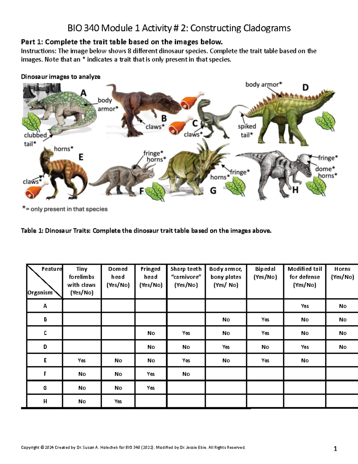 BIO 340 Module 1 Activity 2 Constructing a Cladogram without Image Long ...