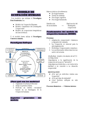 OPHI-II - Pauta MOHO - ENTREVISTA HISTÓRICA DEL DESEMPEÑO OCUPACIONAL ...