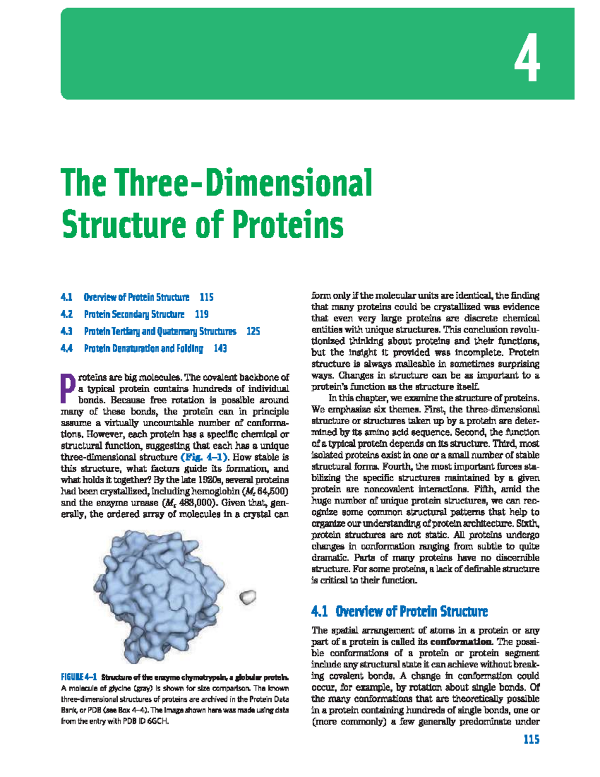 Chapter 04 - Protein Structure - BIO 3601 - Studocu