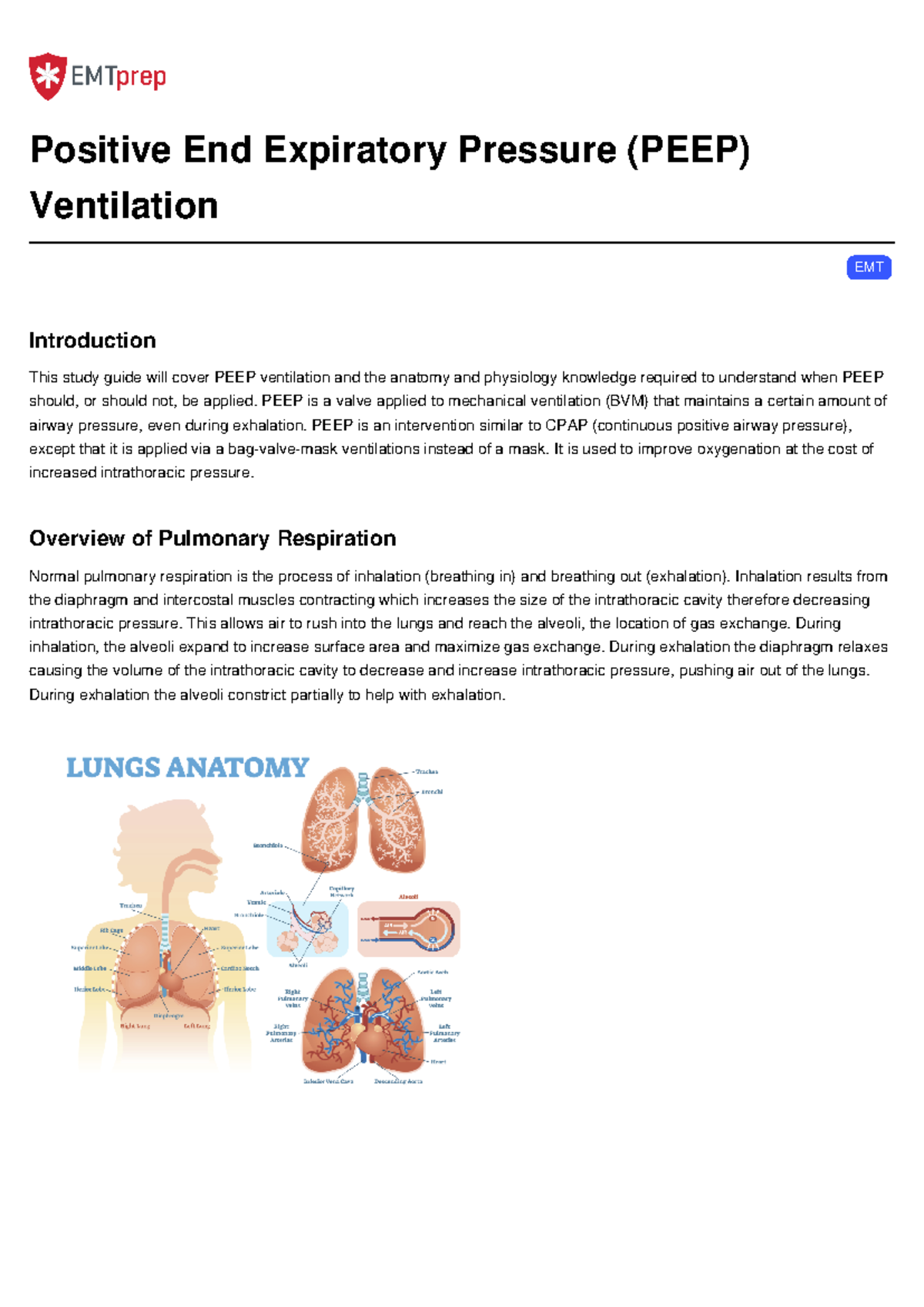 Positive end expiratory pressure peep ventilation 2021 10 19 153101 ...