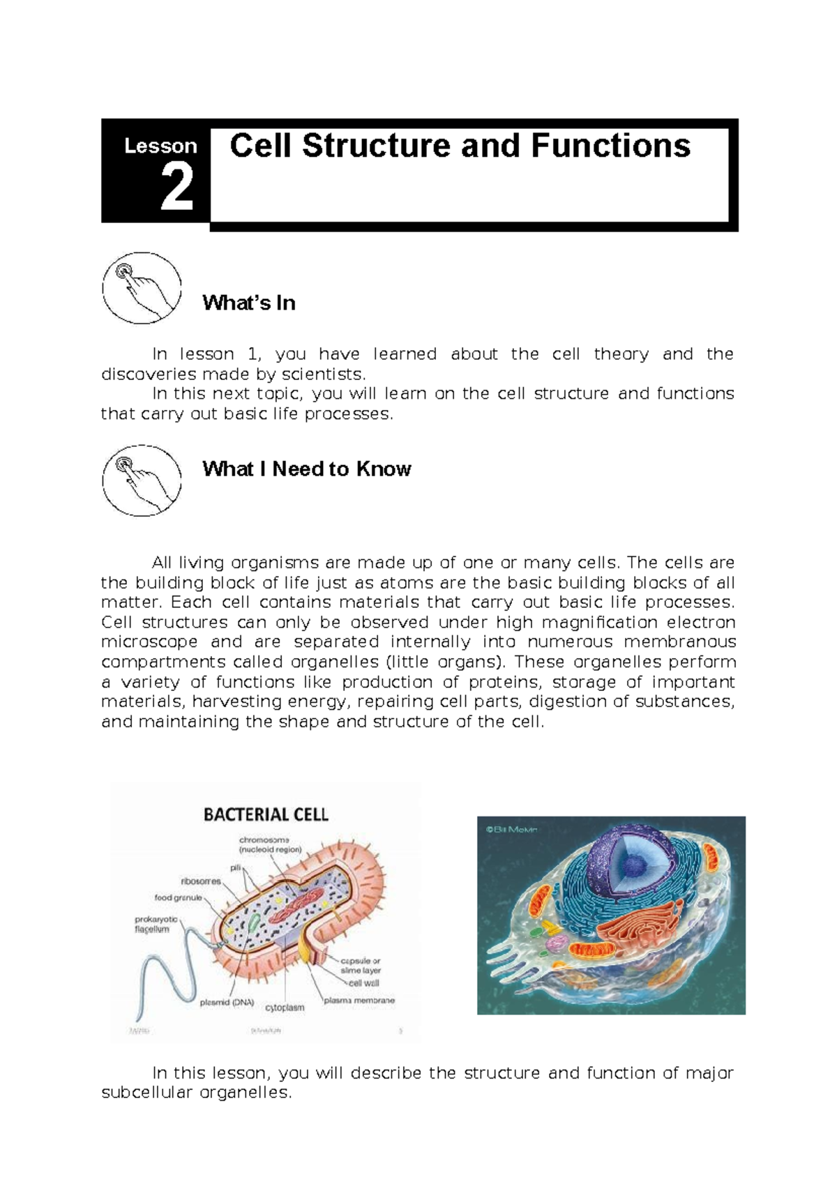 Gen Bio LO2 CELL - lesson 101 - Lesson 2 Cell Structure and Functions ...