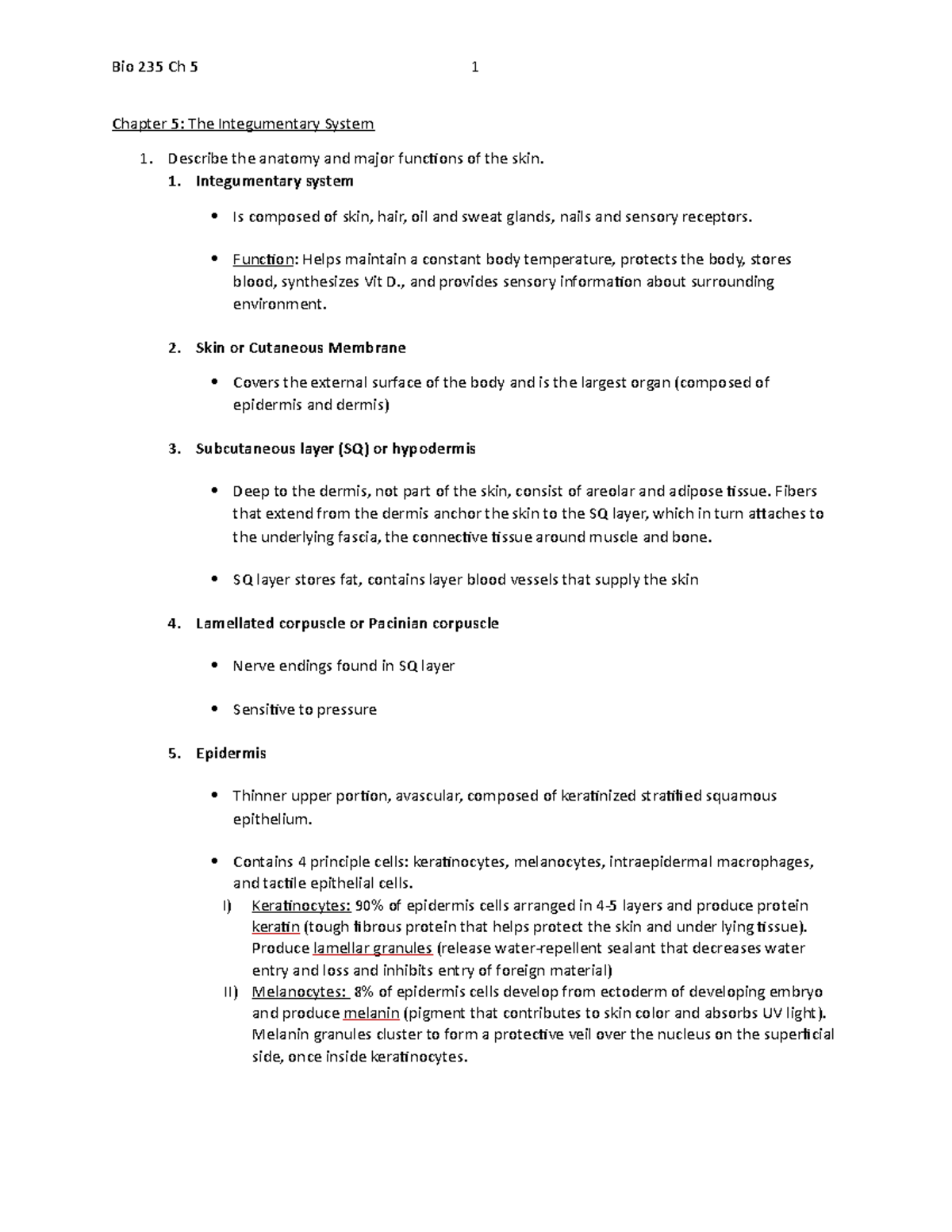 Ch 5 notes - Chapter 5: The Integumentary System Describe the anatomy ...