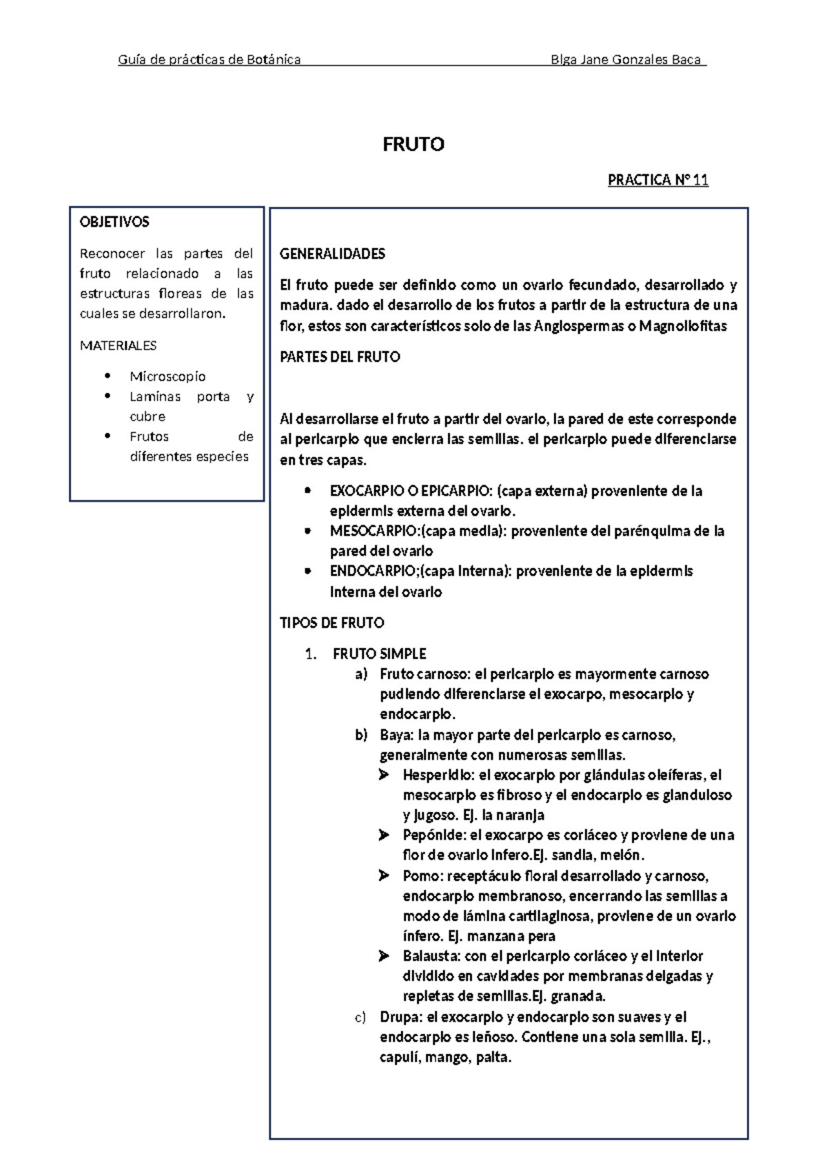 Fruto - FRUTO PRACTICA N° 11 OBJETIVOS Reconocer las partes del fruto ...