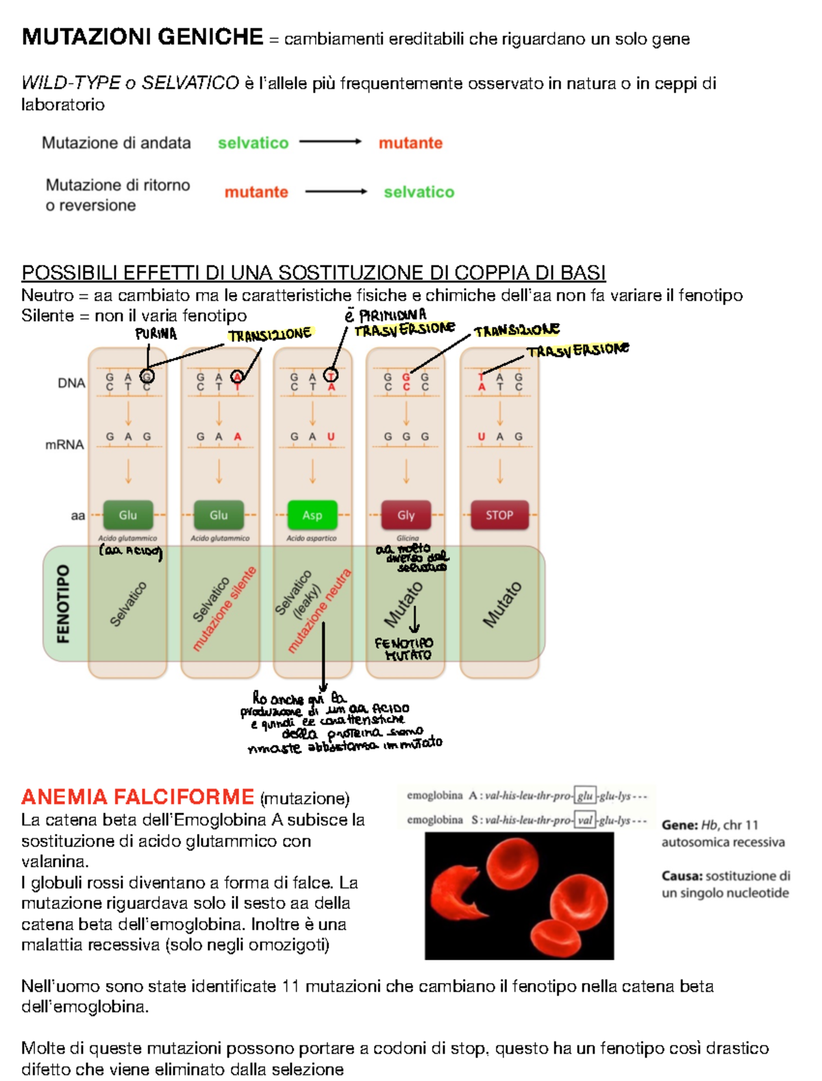 Gianfranceschi 6 - MUTAZIONI GENICHE = cambiamenti ereditabili che ...