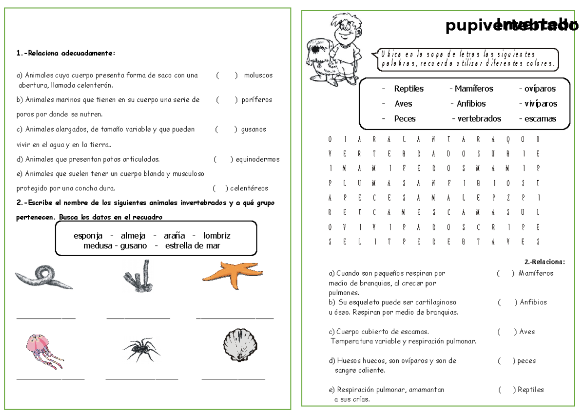 Ficha DE Vertebrados, Invertebrados 4 y 5 - Ubica en la sopa de letras ...