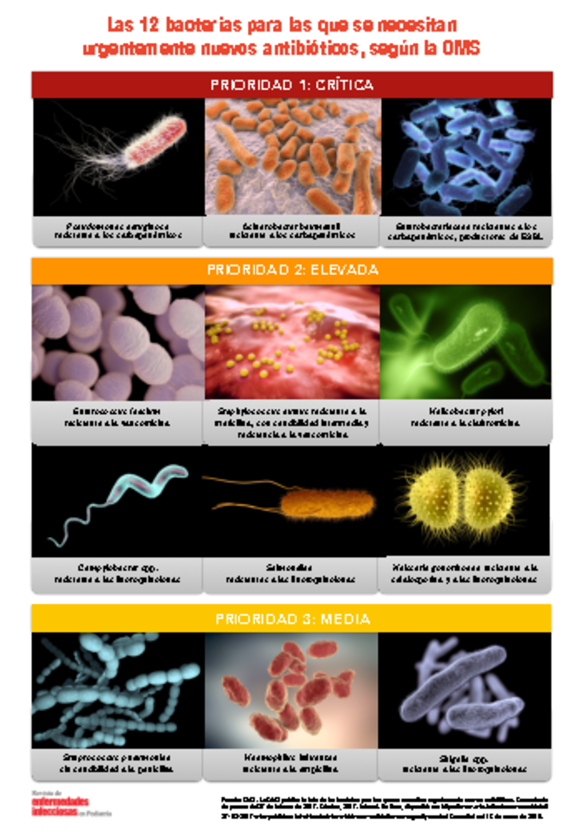 Las 12 bacterias OMS - infografia - Las 12 bacterias para las que se ...