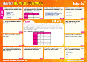 02.3 Working Memory Model AQA A Level Psychology Assessment Mat - 1 ...