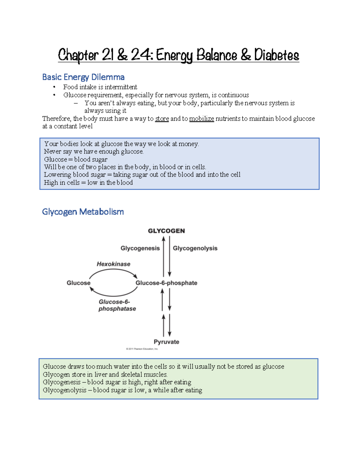 E3 Notes - Chapter 21 & 24: Energy Balance & Diabetes Basic Energy ...