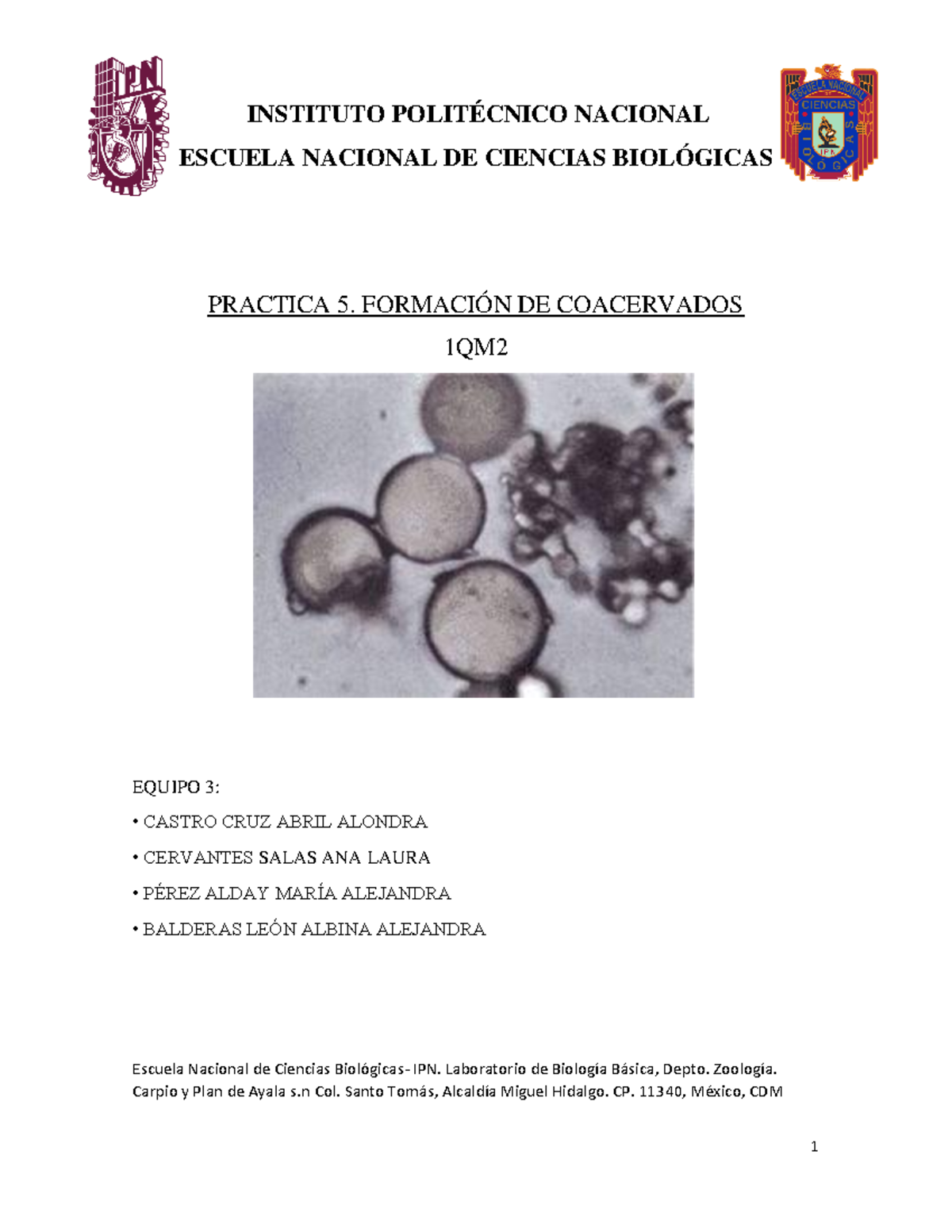 Práctica 5. Los Coacervados - INSTITUTO POLITÉCNICO NACIONAL ESCUELA ...