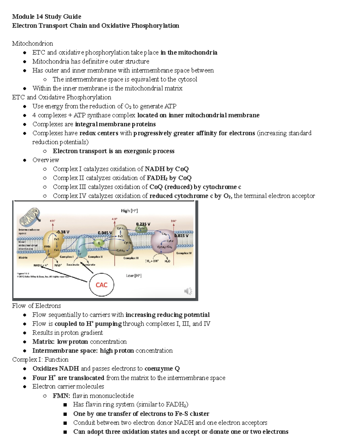 Module 14 Study Guide - Module 14 Study Guide Electron Transport Chain ...