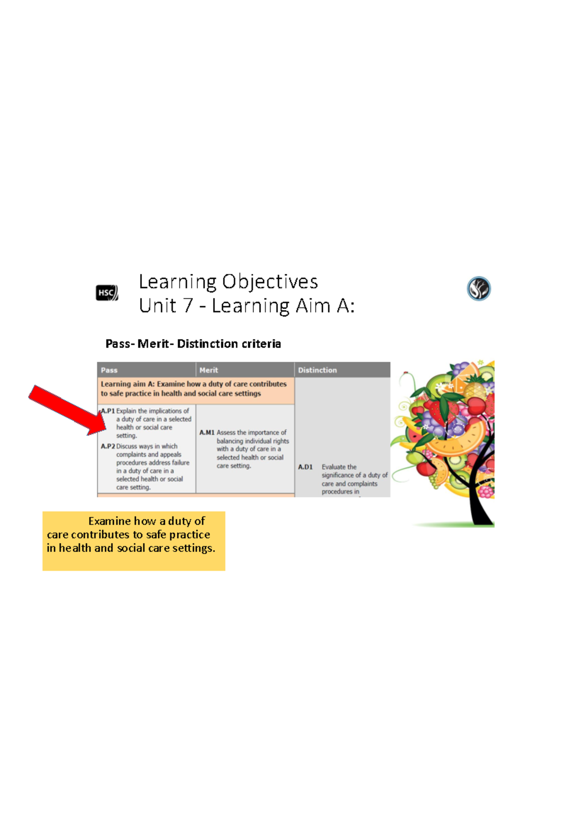 Screenshot 2024-06-11 at 16 - Learning Objectives Unit 7 - Learning Aim ...