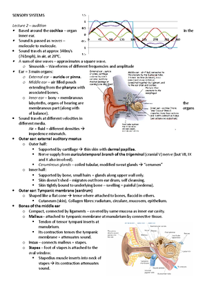 Directional Terms Practice - Directional Terms Practice Complete the ...