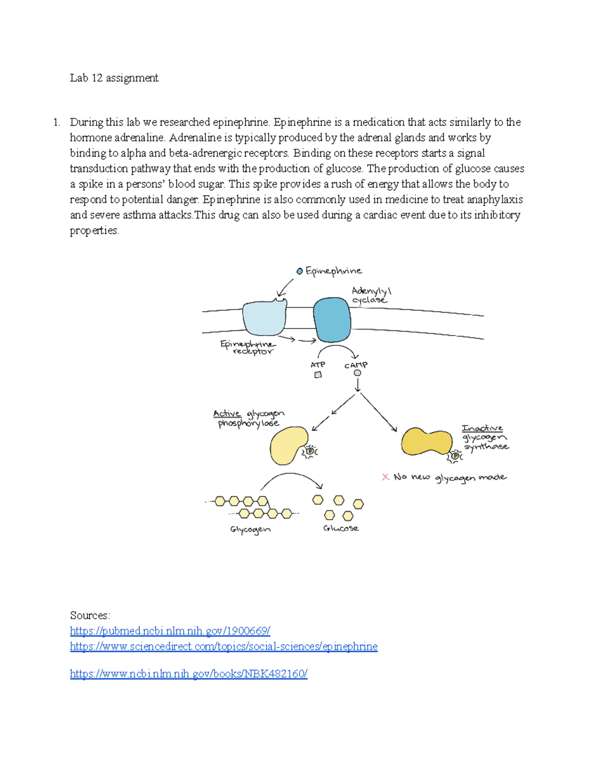 Comparative Physiology Lab assignment - Lab 12 assignment During this ...