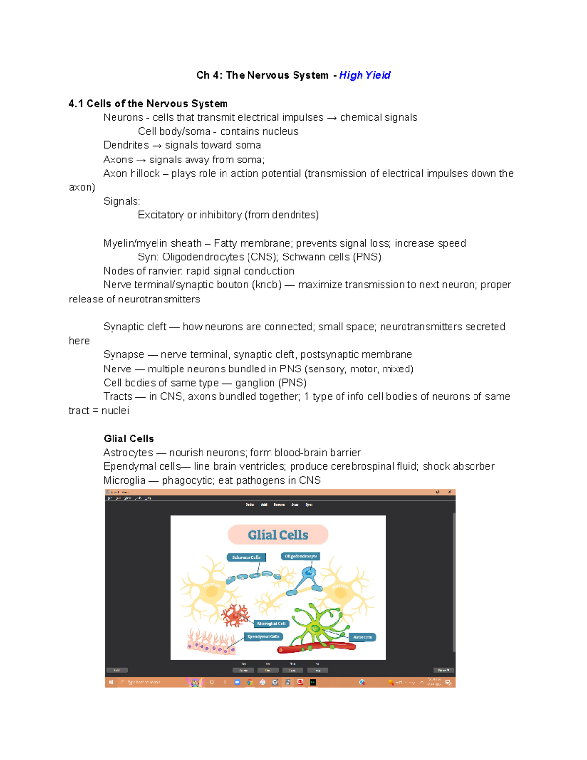 MCAT Kaplan - Ch 4 The Nervous System - Deprecated API usage: The SVG ...