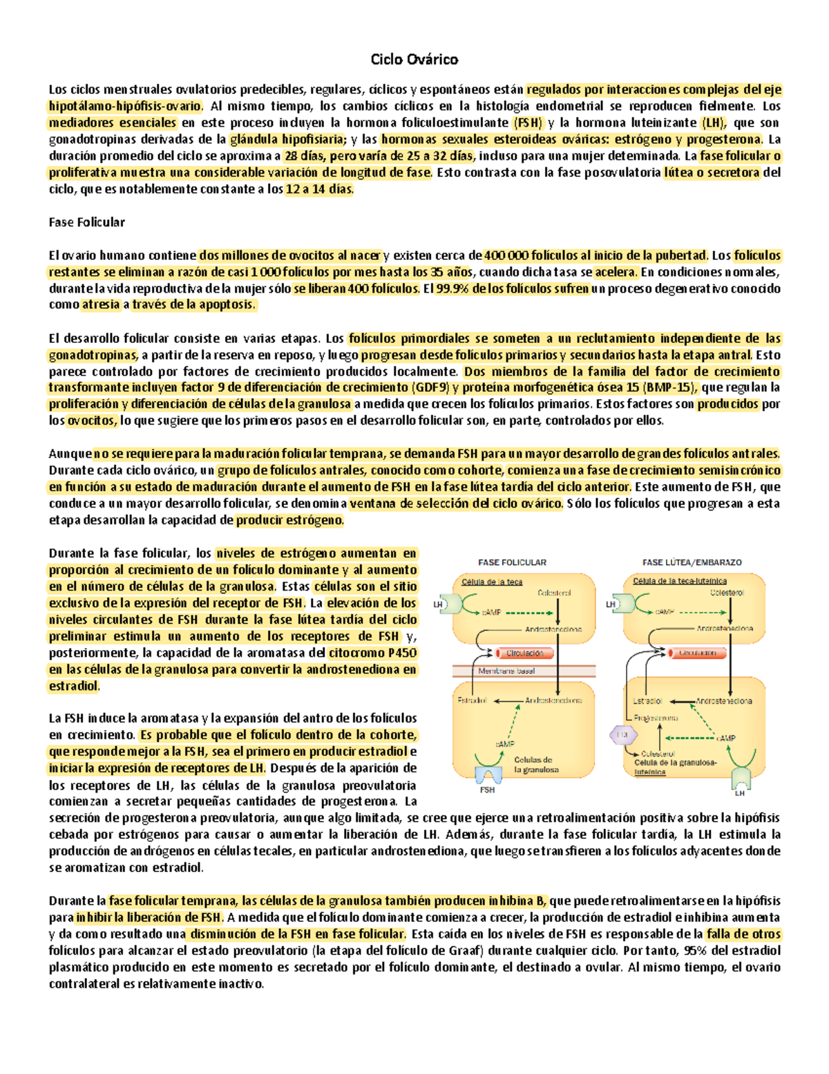 Ciclo Ovárico - Ciclo Ovárico Los ciclos menstruales ovulatorios ...
