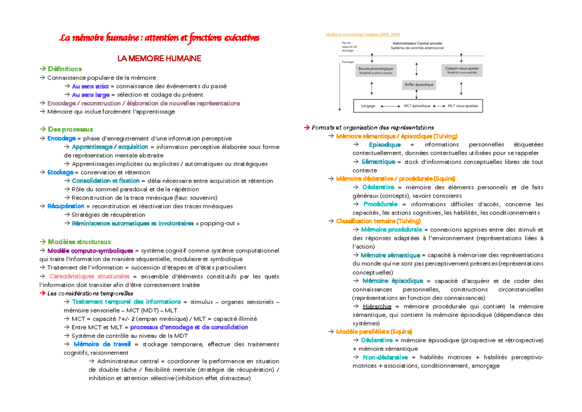 La mémoire humaine - attention et fonctions exécutives - La mémoire ...