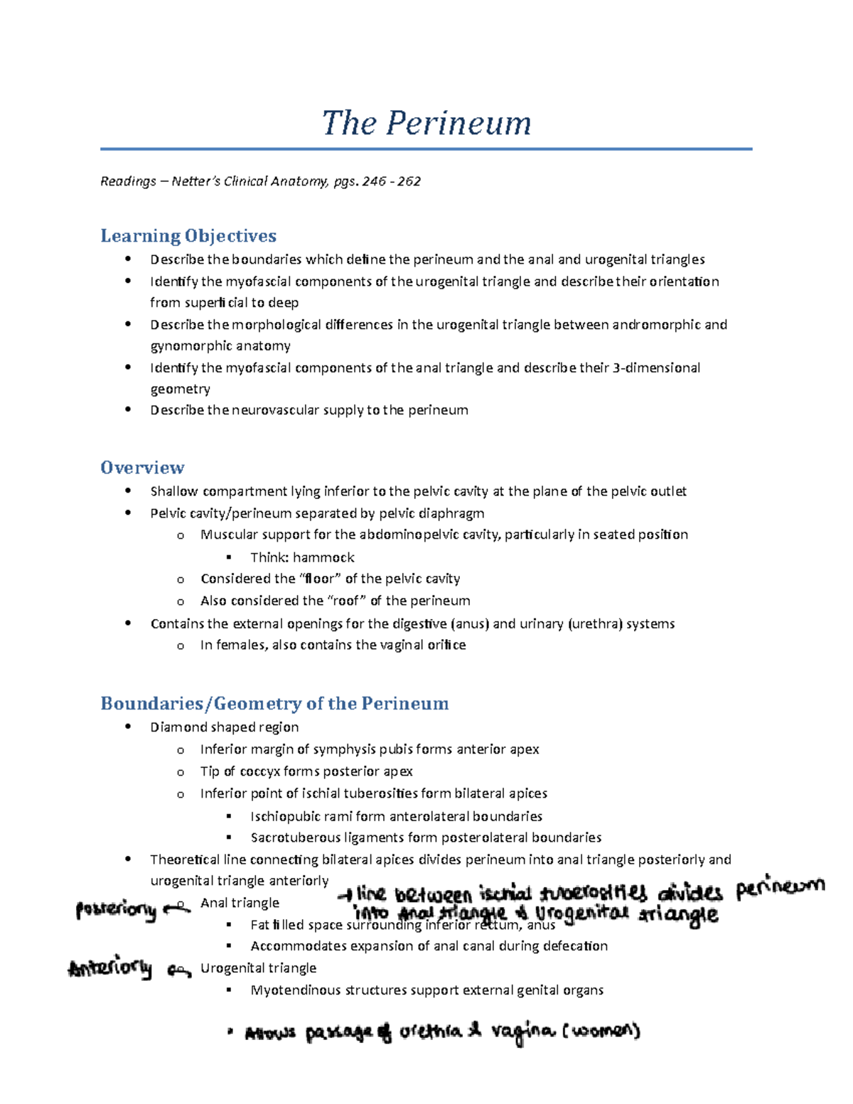 Lecture 21 - The Perineum - Notes - The Perineum Readings – Netter’s ...