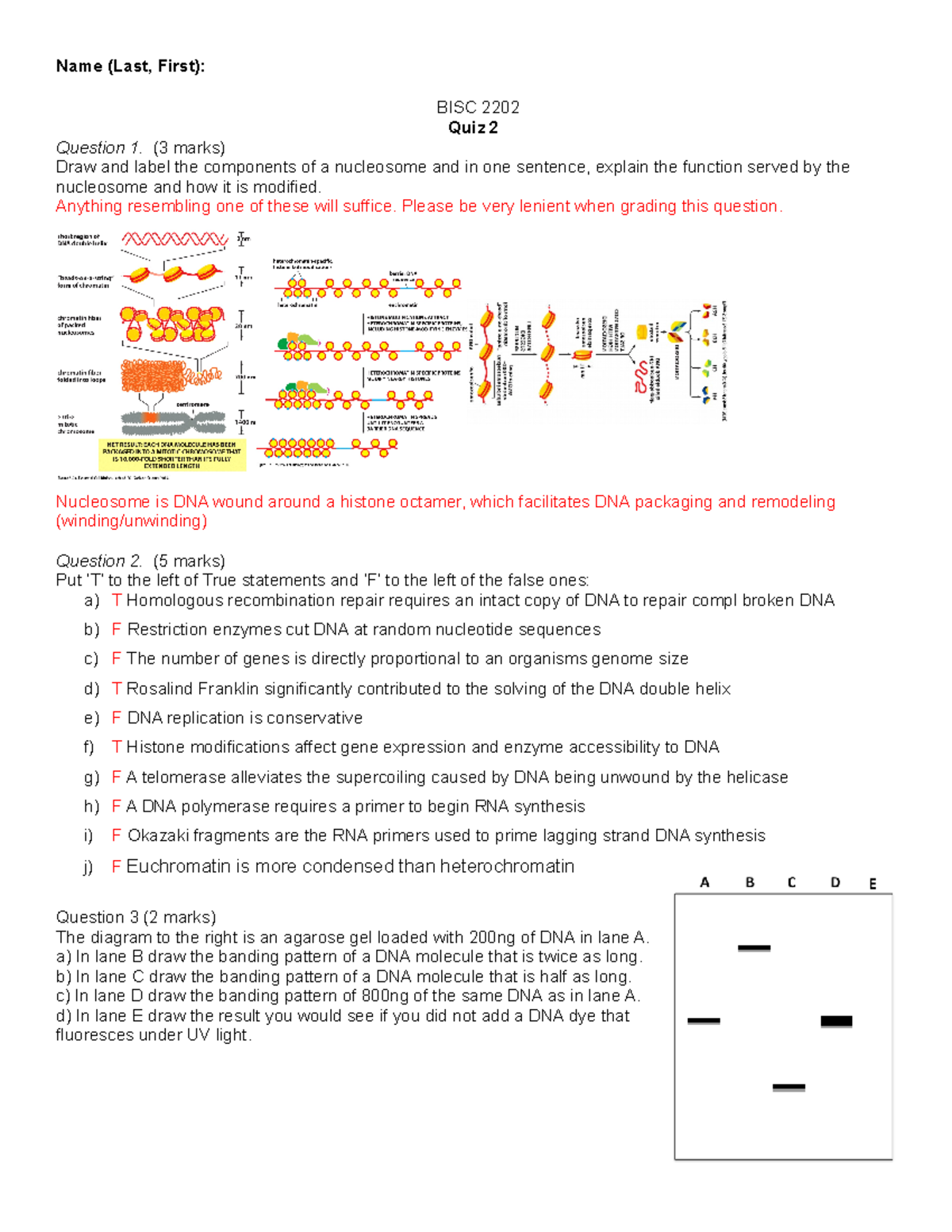 Quiz 2 Answer key - Name (Last, First): BISC 2202 Quiz 2 Question 1. (3 ...