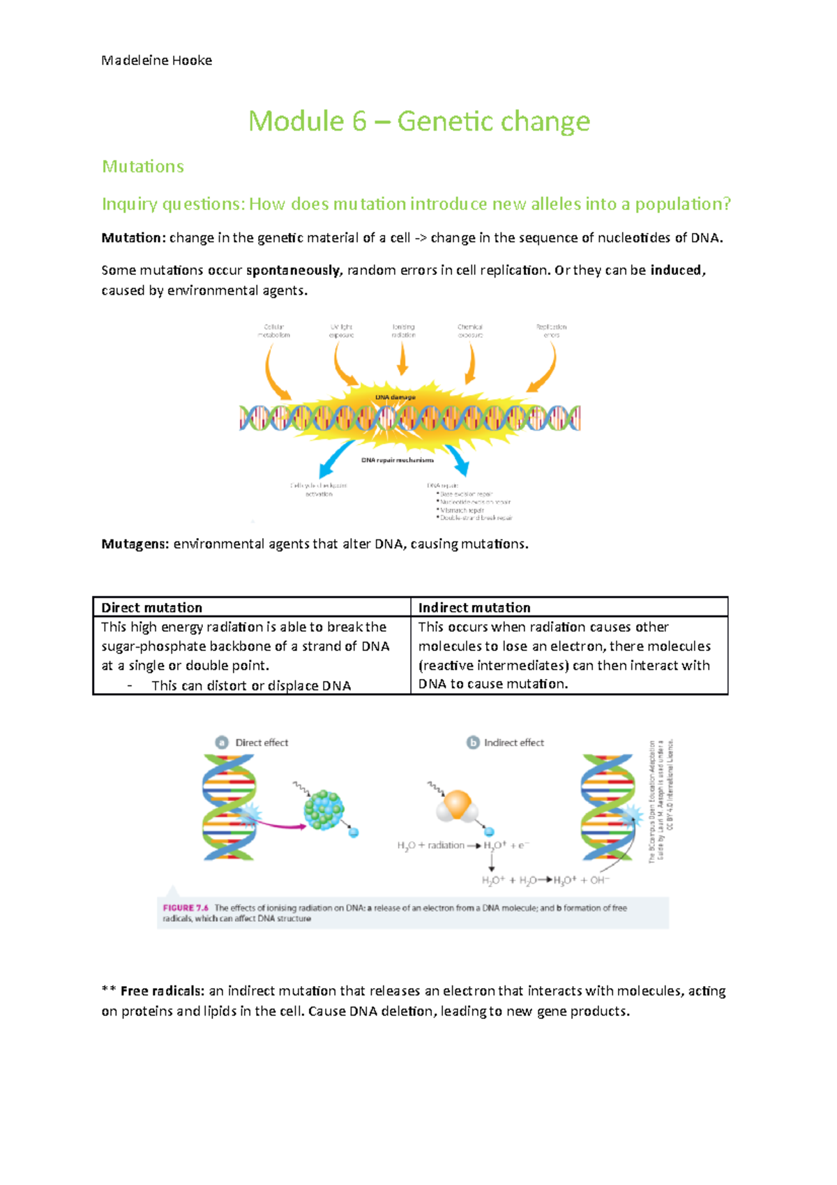 Biology module 6 - Module 6 – Genetic change Mutations Inquiry ...