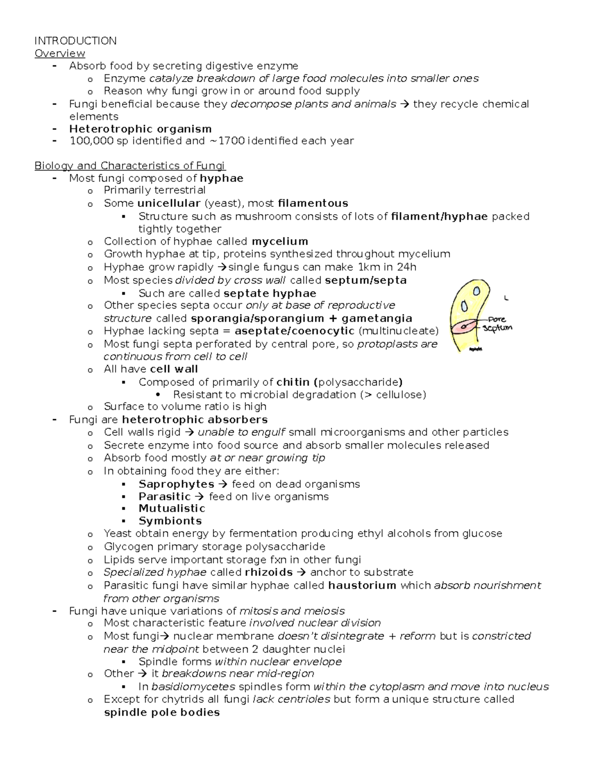 Mycology Midterm Notes - BIOL-3386EL - Laurentian - Studocu