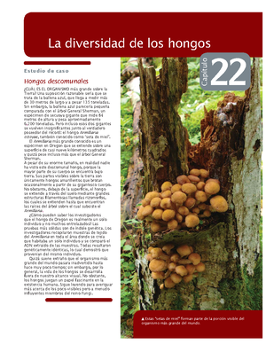 Virus, Viroides, Virusoides, Priones Resumen - La clasificación de los ...