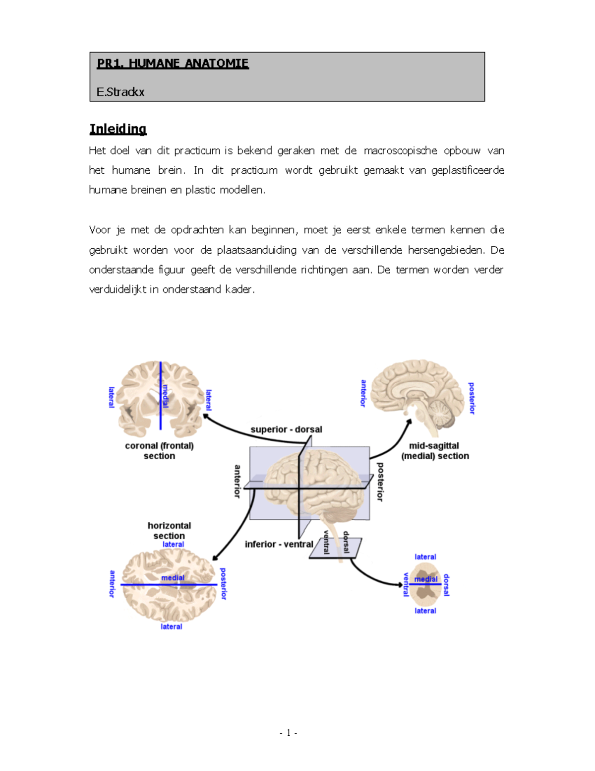PR Humane anatomie geneeskunde 2019 GK - Warning: TT: undefined function: 32 Warning: TT ...