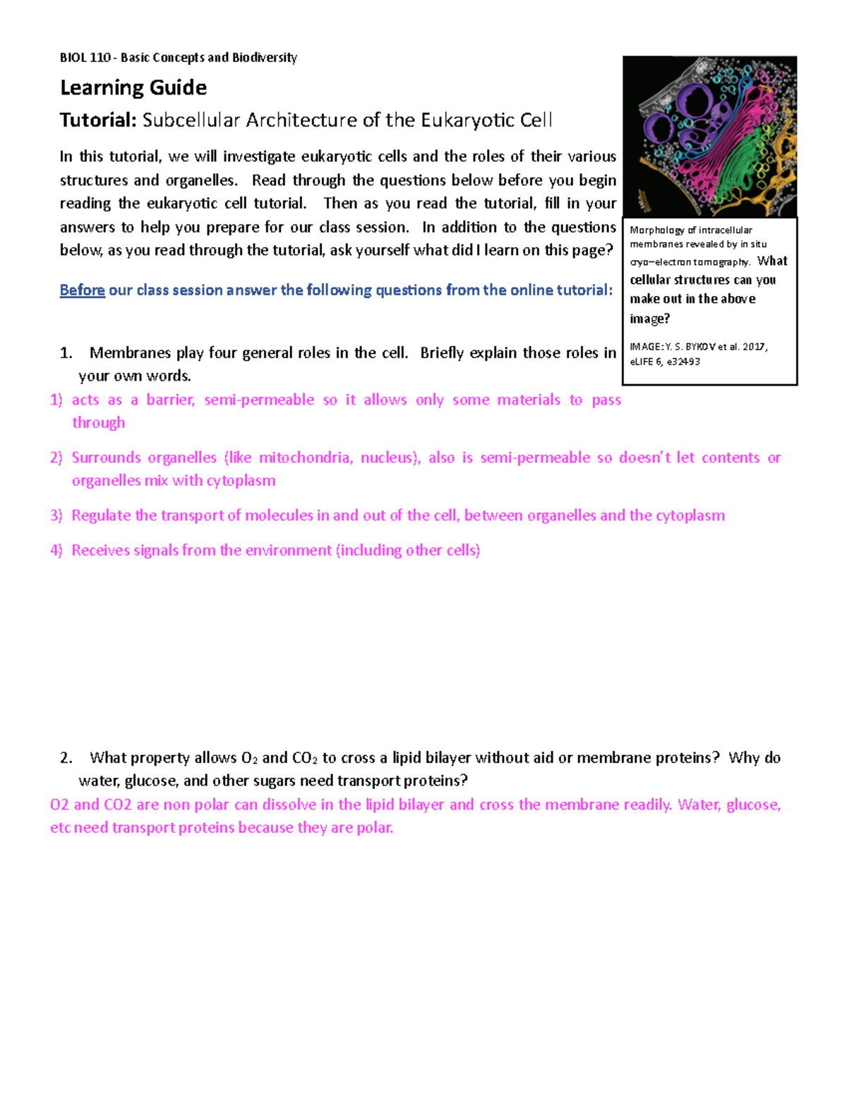 BIO 110 #7 LG - woodward - BIOL 110 - Basic Concepts and Biodiversity ...