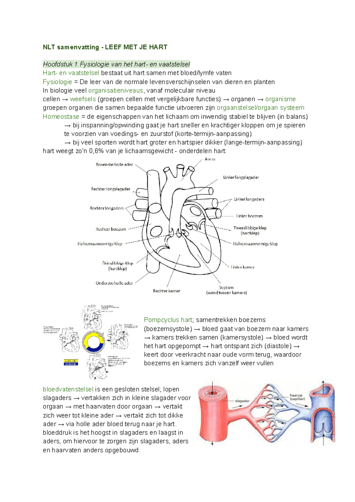 NLT samenvatting - Google Documenten - NLT samenvatting - LEEF MET JE ...