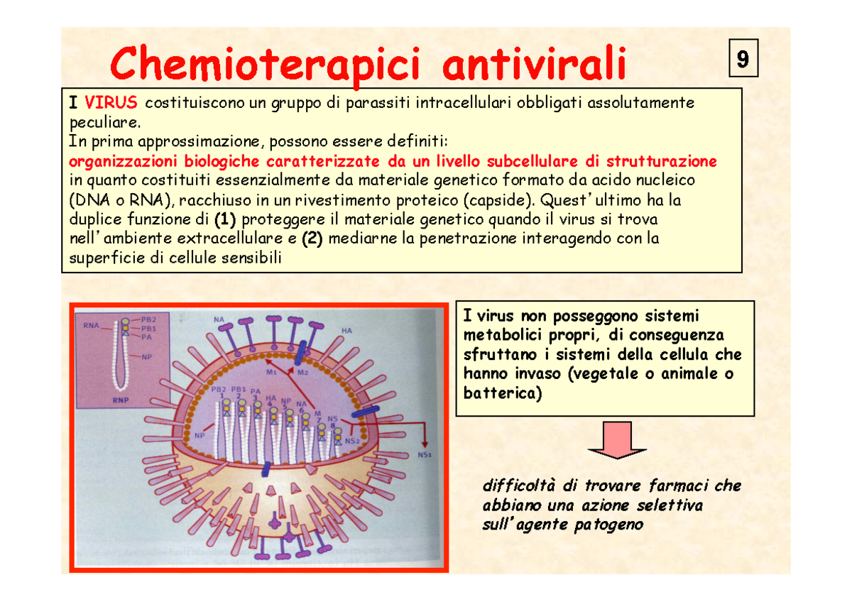 9. Antivirali - Warning: Error during font loading: XMLHttpRequest is not defined I VIRUS - StuDocu