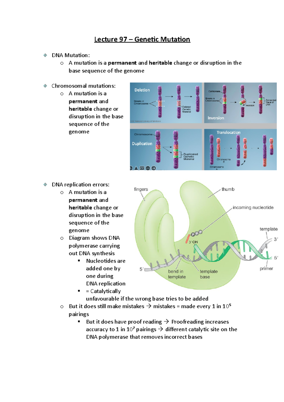 Lecture 97 Genetic Mutation Lecture 97 Genetic Mutation Dna