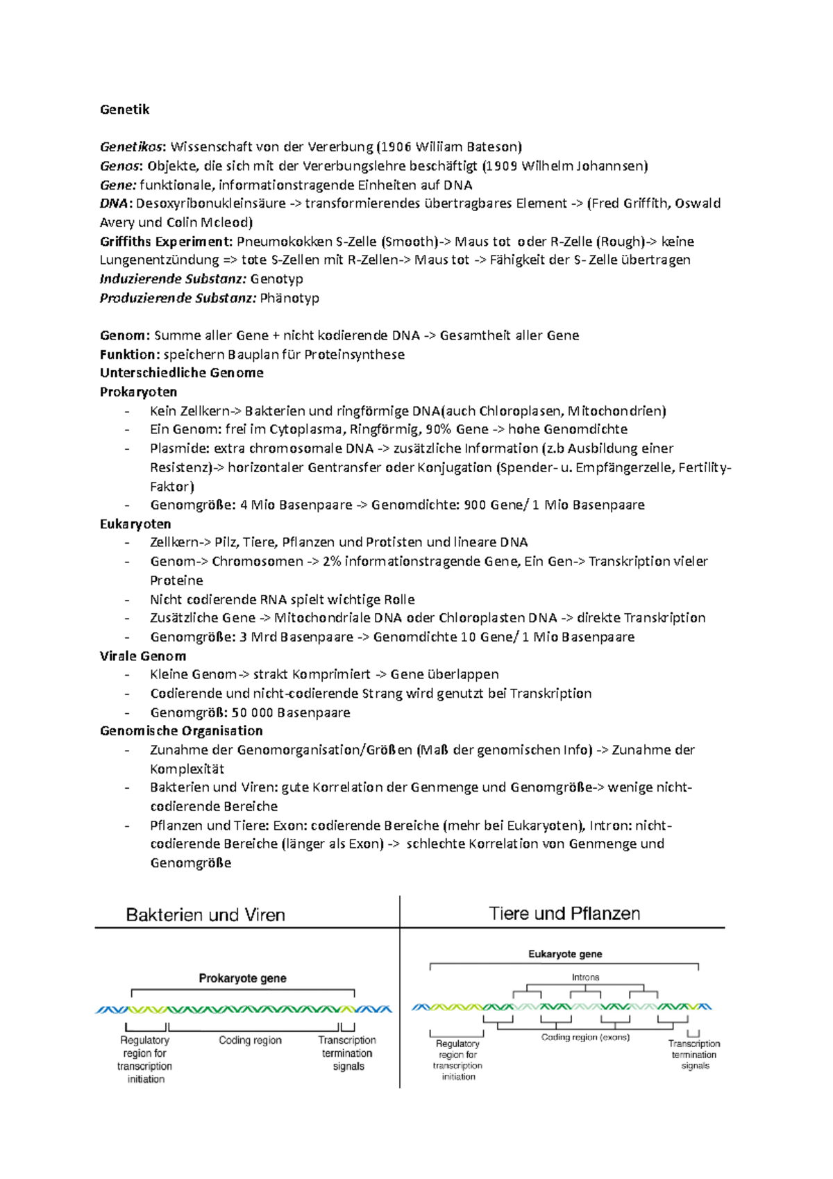 Genetik - Zusammenfassung - Genetik Genetikos: Wissenschaft von der ...