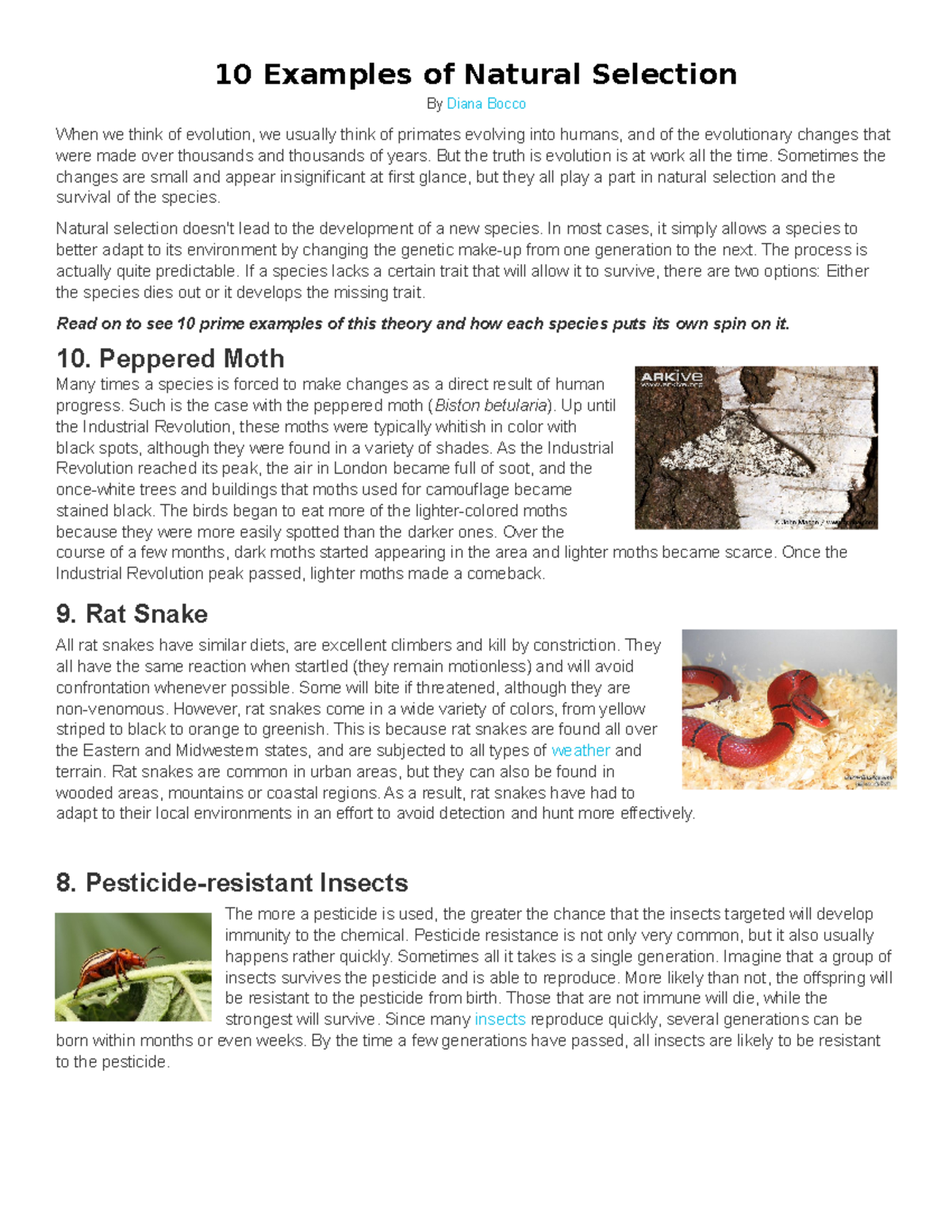 10 Examples of Natural Selection Article WK3 - 10 Examples of Natural ...