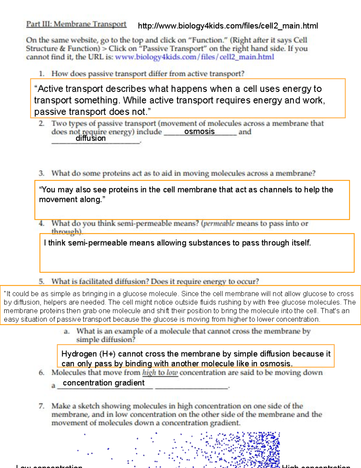 Part III Membrane Transport Webquest - biology4kids/files/cell2_main ...