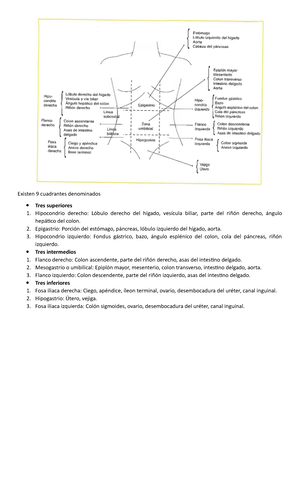 Cardiovascular - Cardiolog - PROPIEDADES DEL CORAZÓN: Batmotropismo: el ...